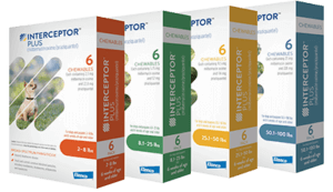 Rebates and Coupons - Sycamore Vet Service